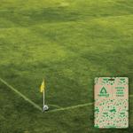 Buy Optimal Seeds Sports Field Lawn Grass Seeds (500 Nos) Online at ...