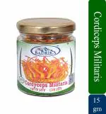 Buy Badrika Keeda Jadi (Cordiceps Militaris) | Super Food for Energy ...