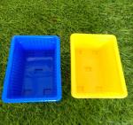 Buy Aenox led pot 10 inch-17 Online at Best Prices in India - JioMart.