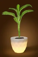 Buy BLUME 9INCH VAZ PLANTER WITH LED FOR HOME AND BOLCONY DECOR ...