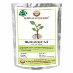 Buy SM Srimalar Enterprises Bacillus Subtilis Powder, 450g (Pack of 1 ...