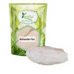 Buy YUVIKA Samunder Fan - Samunder Jhaag - Sepiae Os (100 Grams) Online ...