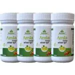 Buy Dhanwantri Natural Herbs Care Private Limited Amla churan powder ...
