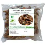 Buy Valli Organics Chitharathai Roots | Lesser Galangal | Arathai 100gm ...