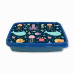Buy Nutcase Water Animals Plastic Lunch Box 7.5 inch x 5 inch Online at ...