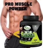 Buy Inlazer Pro Muscle Weight Gain Powder _ Protein Powder For Men ...