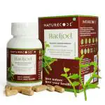 Buy NATURE CODE Hadjod Extract 450MG Capsules for Bone and Joint ...