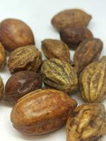 Buy THOGAI Kadukai Treatment for Reduce Weight (250 g) Online at Best ...