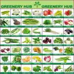Buy Greenery Hub Organic 45 Varieties of Vegetables Seeds (45 Per ...
