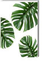 Buy Surmul Multicolor Sunboard Medium Green Leafs Plant Posters Office ...