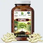 Buy Sovata NPK (Nitrogen Potassium Phosphorus) Fertilizer Capsules (51 ...