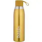 Buy Dubblin Dolphin Premium Stainless Steel Double Wall Vacuum ...