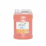 Buy Eco Hygiene+ Hand Soap Gel Strong Germ Protection Hand Soap ...