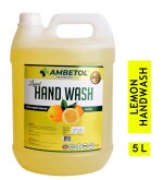 Buy Ambetol Liquid Handwash With Moisturizer Enriched with the Goodness ...