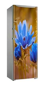 Buy Divinedesigns Multicolor Vinyl Sky Blue Flower Fridge Sticker ...