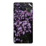 Buy GADGETSWRAP Printed Vinyl Skin Sticker for Samsung Galaxy S10 Plus ...