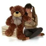 Buy ToYBULK Coffee Very Soft Teddy Bears - 3 Feet Online at Best Prices ...