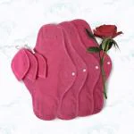 Buy Safepad (4- night pads & 3- inner labia pad)pink Online at Best ...