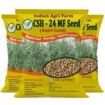 Buy Iagrifarm CSH-24 MF (Nutri Gold) Sorghum Seeds - 500 g - Multi-Cut ...