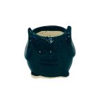 Buy Shopmefast Ceramic Owl Ear Shape Pots Planters Online at Best ...