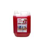 Buy Neat n Clean floor cleaner Kitchen Cleaner (5 L) Online at Best ...