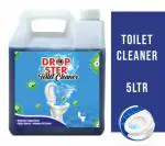 Buy Dropster 5 Liter Toilet Cleaner Ultra Solution For Toilet Seat & Ceramic Tiles Cleaning With ...