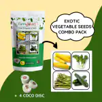 Buy Farmgokart |ZUCHINNI YELLOW, PAK CHOI, ASPARAGUS & ZUCHINNI GREEN SEEDS | Combo Pack Of 4 ...