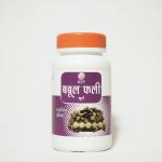 Buy BHARAT AYURVEDIC AUSHDHALAYA Babul Fali pack 3 Online at Best ...