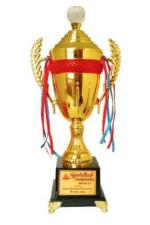 Buy M. K. BUDHWANI Gold Plastic Sports Cup Momento With Ribbons 19inch ...