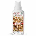 Buy Sansar Green Termite Instant Hit Spray, Premium Essential Super ...