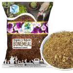 Buy Shiviproducts Organic Bone Meal Fertilizer As Natural NPK ...