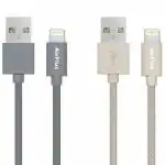 Buy AirPlus Space Grey-Gold AP-AX-905-SGRY/GLD 8 Pin Lightning to USB ...