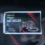 Buy Greenplus Magic Rat Killer 25 gm Pack of 12 Online at Best Prices ...