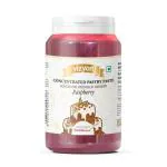 Buy Vizyon Concentrated Pastry Paste - (Raspberry), 200g, 200 g Online at Best Prices in India ...