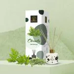 Buy ORVA CITRONELLA Reed Diffuser Fragrance Includes Diffuser Oil (6 ...