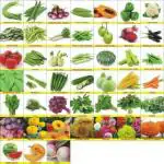 Buy Flare Seeds 45 Varieties Vegetable Combo Pack Seeds Online at Best ...