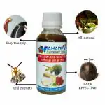 Buy Tattaiya ke chatte ka Tail 100ml Bhirad Yellow bee Nest Oil For ...