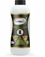 Buy atmanam Potash Mobilizing Fertilizer 1 L Online at Best Prices in ...