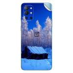 Buy GADGETSWRAP Printed Vinyl Skin Sticker for Oneplus Nord 2 - Snow ...
