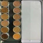 Buy KRYOLAN Derma Color Camouflage Creme Foundation Palette (Delhi-4 ...
