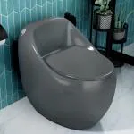 Buy Plantex Platinium Ceramic Rimless One Piece Western Toilet/Water ...