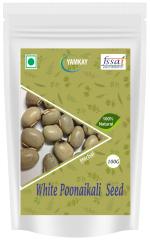 Buy Yamkay Dried White Poonaikali Seed Velvet Bean Kapikachu Mucuna ...