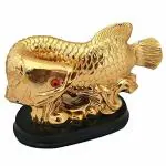 Buy REBUY Fish Looking Polyresin Feng Shui Arowana Back Statue ...