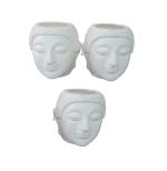 Buy AgriFix Plastic Gamla 6 inch Flower Plant Pots Indoor & Outdoor ...