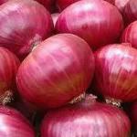 Buy MOZETTE Hybrid Onian Seed (65 per packet) Online at Best Prices in ...