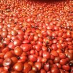 Buy Vinarghya Full Red Gunja 21pcs Online at Best Prices in India ...
