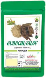 Buy Bhpi Bharat Giloy/Guduchi/Gulvel Stem Powder |Tinospora Cordifolia ...