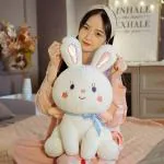 Buy AN Teddy Plush Toys | Star Rabbit Soft Plush Stuff Toy for Baby ...