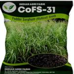 Buy Iagrifarm CoFs 31 Fodder Sorghum Seed - 3 Kg - MultiCut for Fodder Cultivation Online at ...