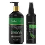 Buy Greenphyll Moringa Oil for Hair Fall Control & Growth - 100 ml ...